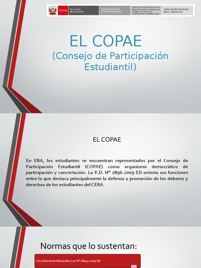 RESUMEN COPAE Facilitador | PDF | Elecciones | Igualdad de género