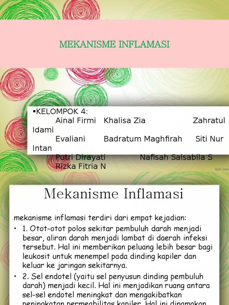 Mekanisme Inflamasi | PDF | Politik | Kesehatan Holistik