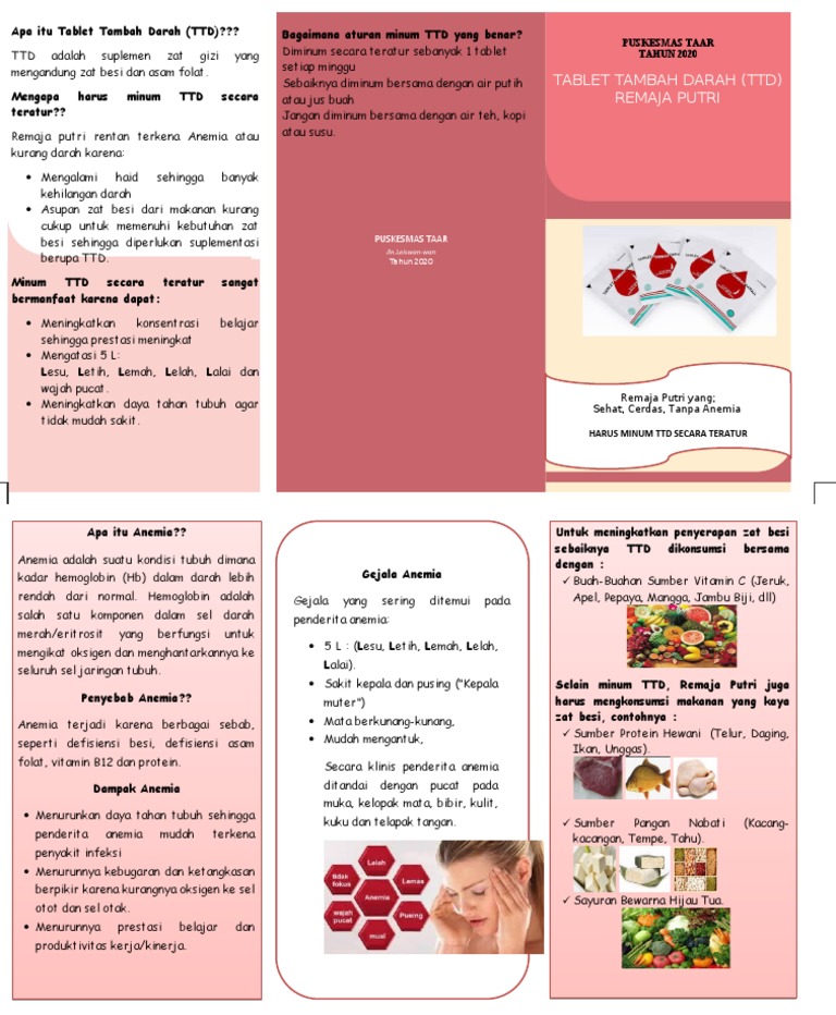 Panduan TTD untuk Remaja Putri | PDF