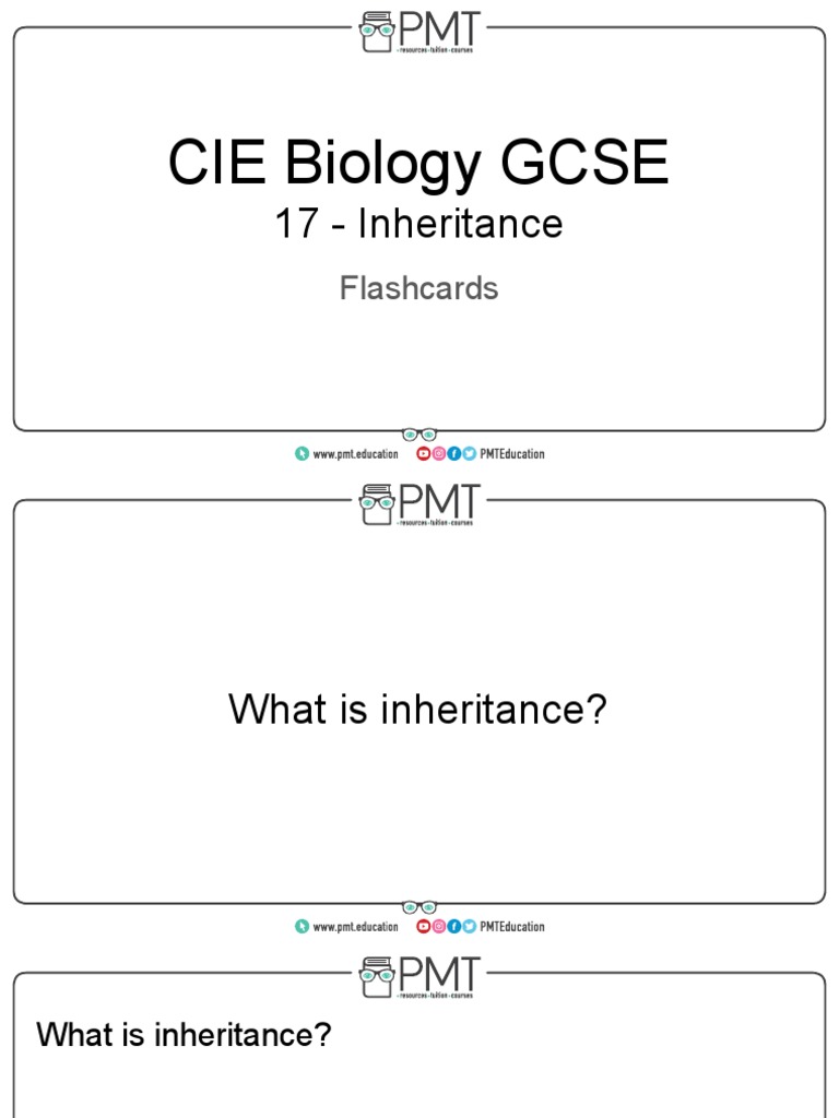Key Concepts of Inheritance: A Comprehensive Guide to Genetics and ...