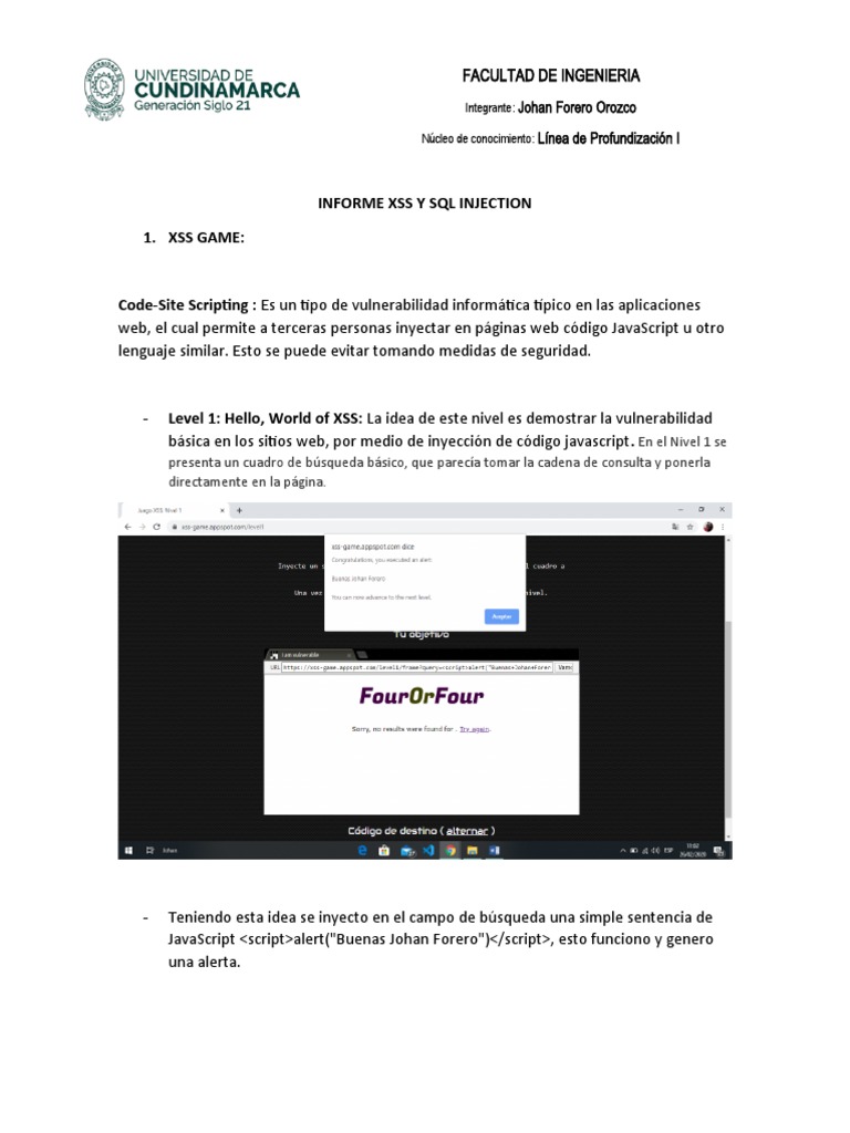 Informe XSS y SQL Injection | PDF | Script Java | Red mundial