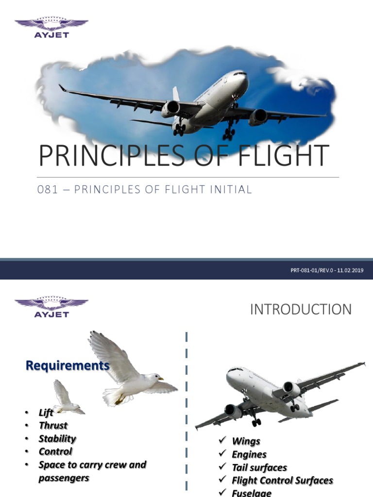 Principles of Flight | PDF | Flight Control Surfaces | Flight Dynamics ...