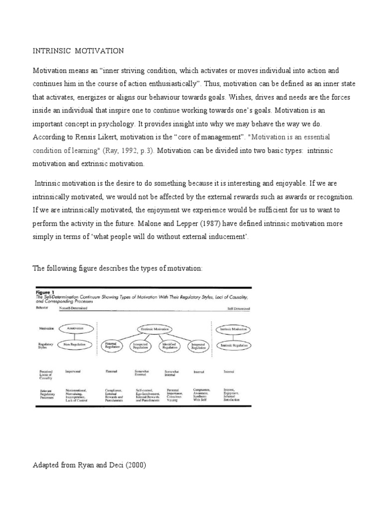 Understanding Intrinsic Motivation | PDF | Motivation | Motivational