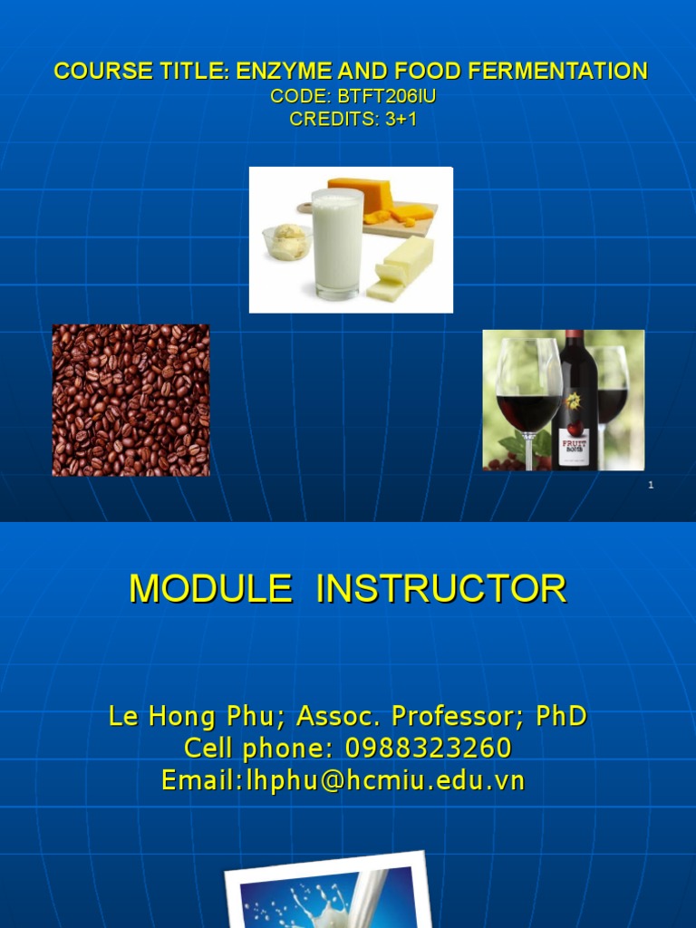 Overview of Enzyme & Food Fermentation 2020 | PDF | Fermentation In ...