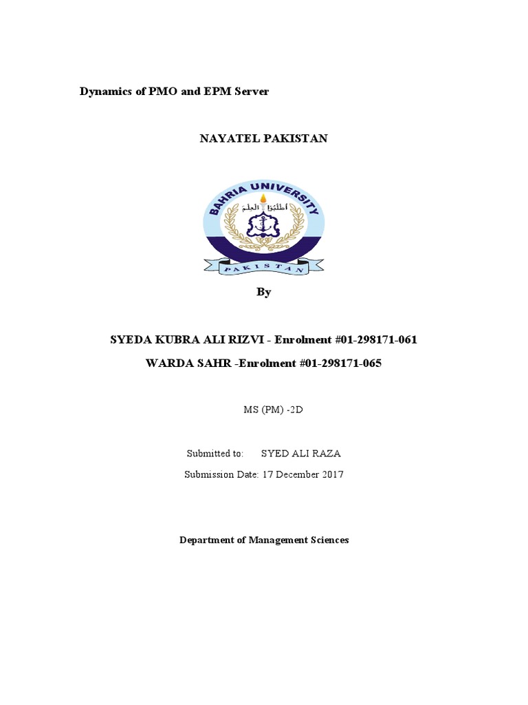 FINAL EPM Project | PDF | Project Management | Expert