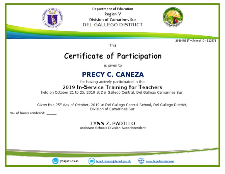 2019 INSET Certificate of Participation Official | PDF