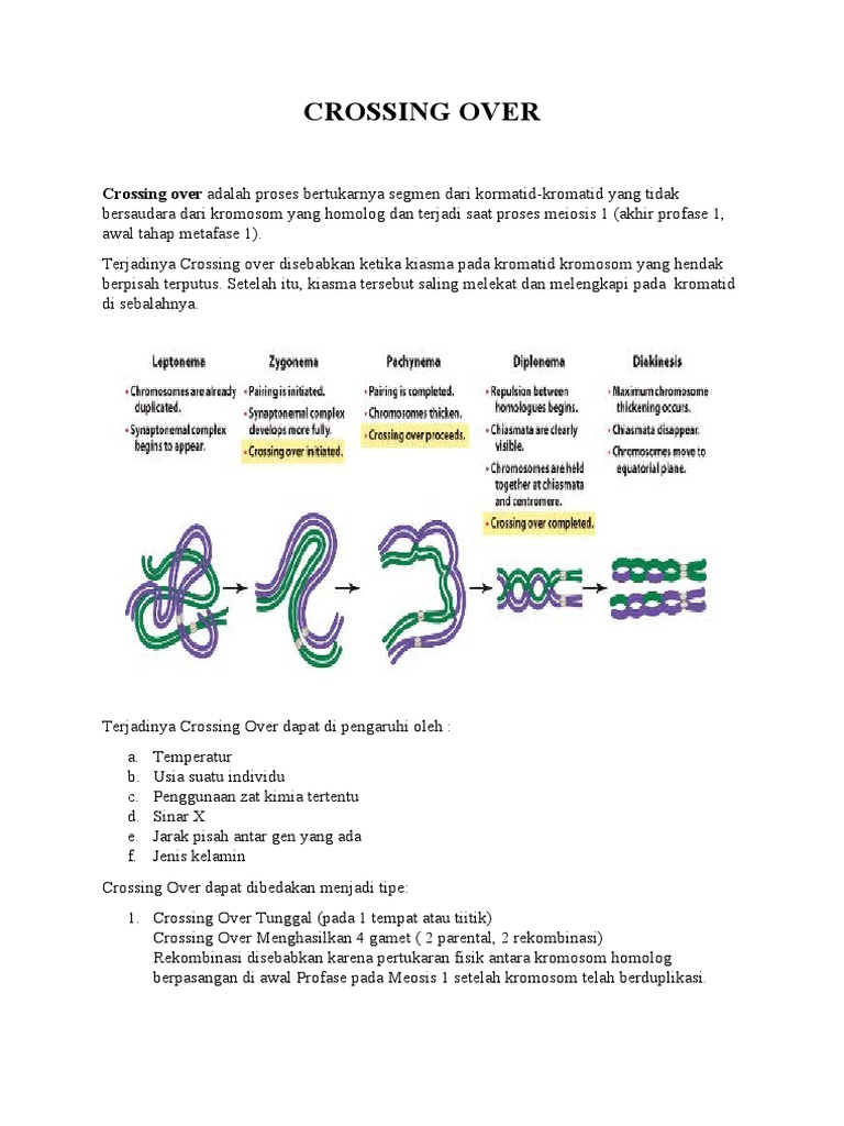 Crossing Over | PDF | Sains & Matematika