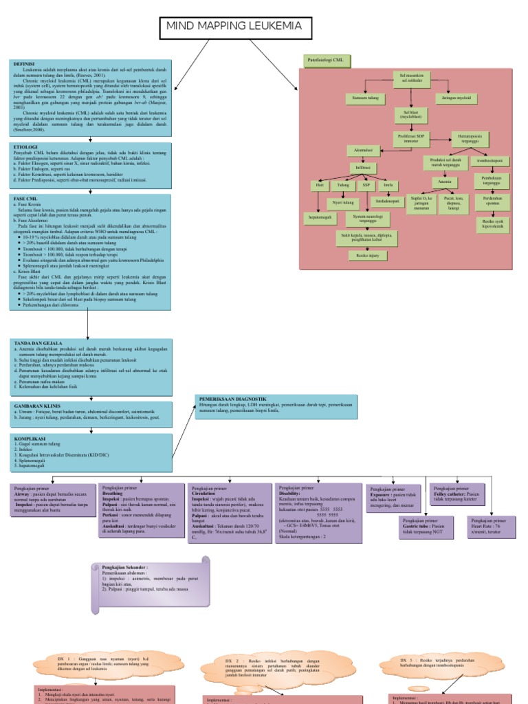 Mind Mapping Leukemia | PDF