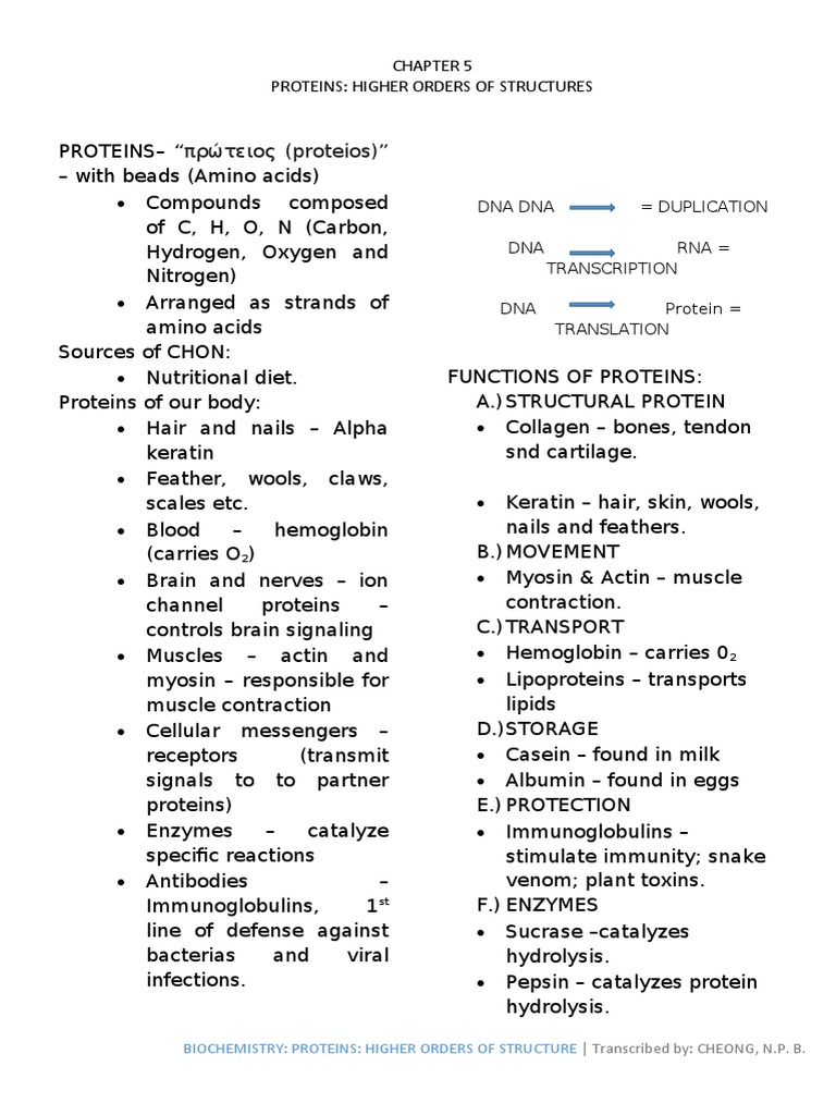 Biochem Chon | PDF | Proteolysis | Proteins