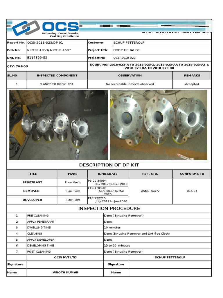 DP Report | PDF | Tests | Quality