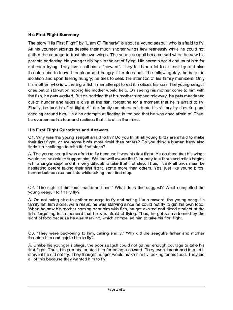 His First Flight Summary | PDF