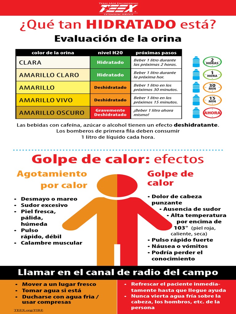 Hydration Espanol | PDF | Deshidración | Medicina CLINICA