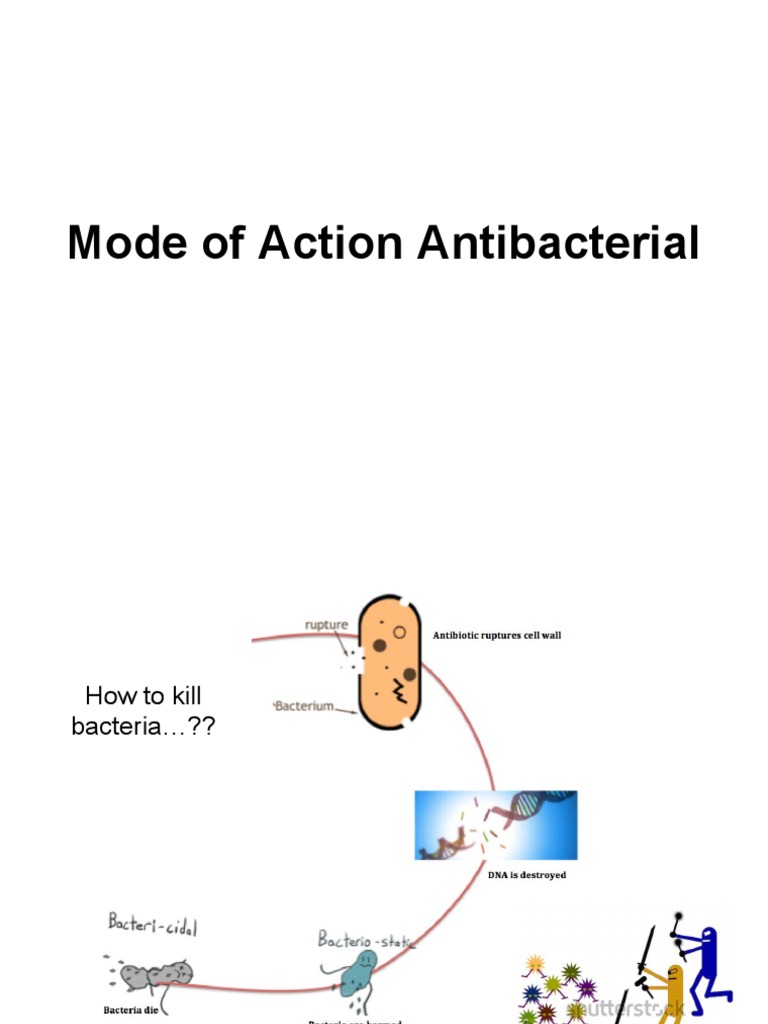 Penicillin Mechanism Of Action Animation