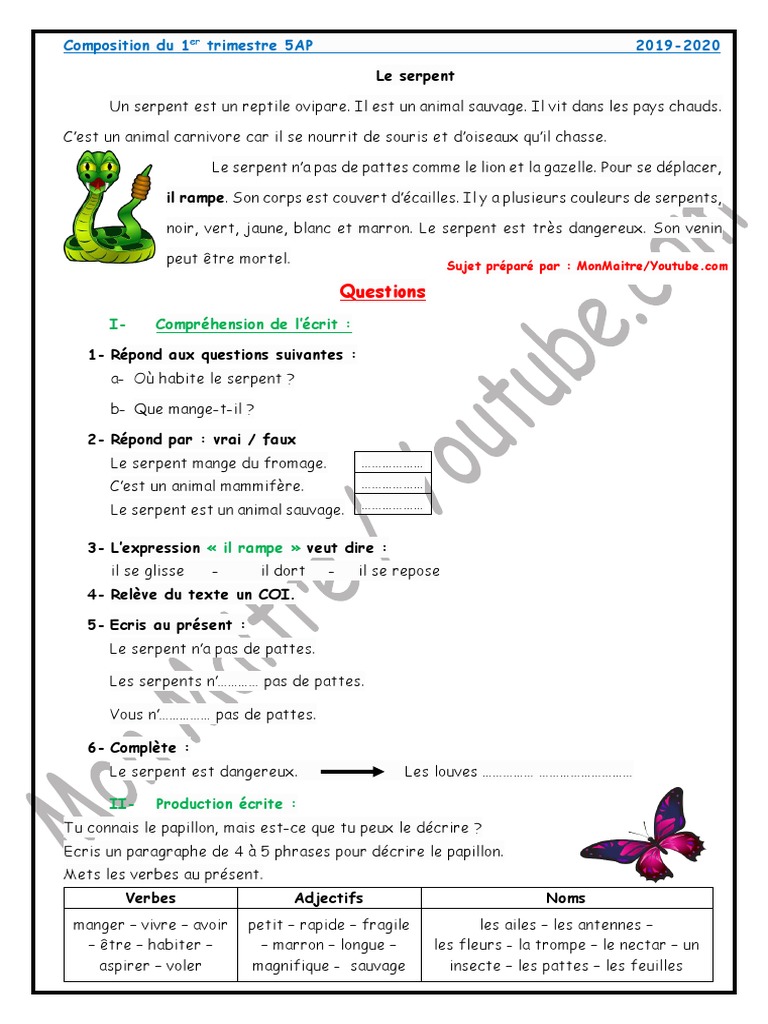 Description du serpent en 5AP | PDF