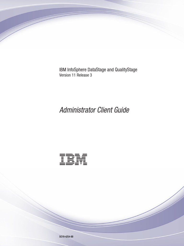 IBM InfoSphere DataStage and QualityStage Version Release Administrator ...