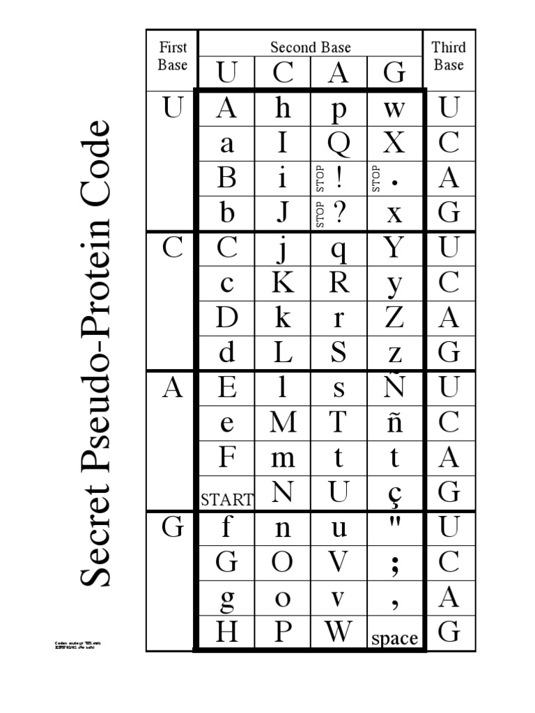 Codon Analogy | PDF | Code | Genetic Code