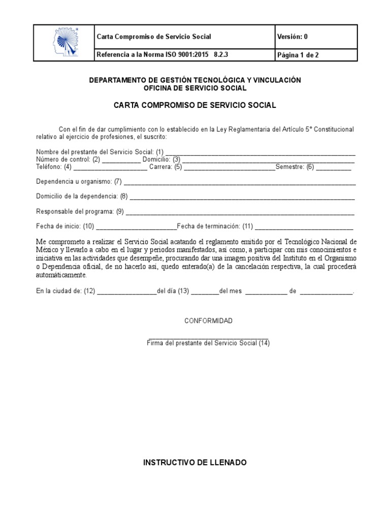 Carta Compromiso Servicio Social | PDF | Gobierno | Justicia