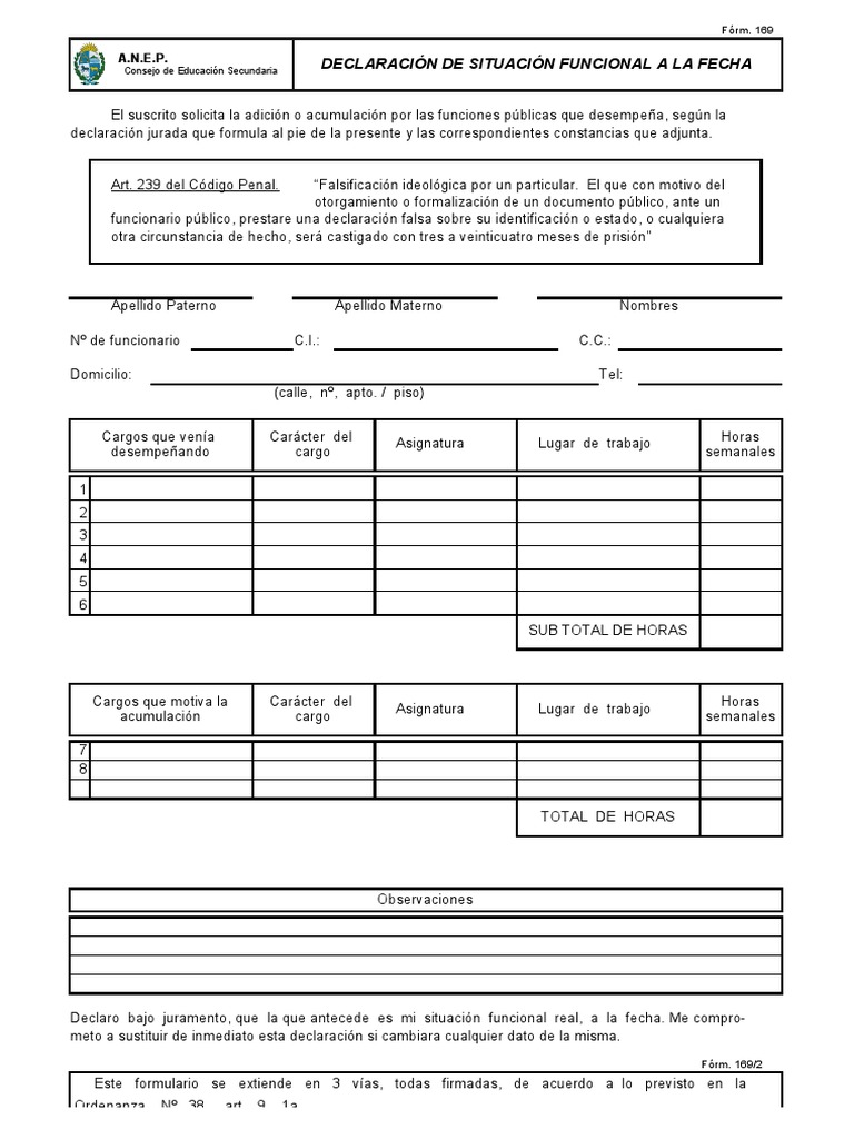 Fórmula 169 (Declaración Jurada) | PDF | Gobierno | Escuelas