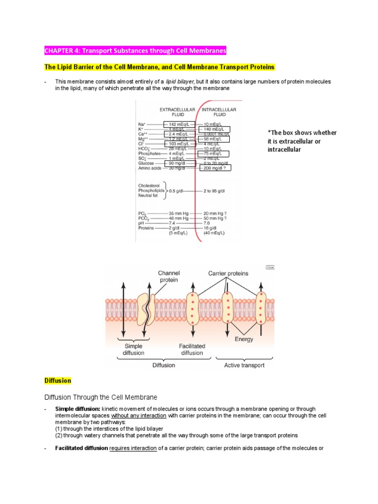 Physiology Chap4 (Transport of Substances Through Cell Membrane)