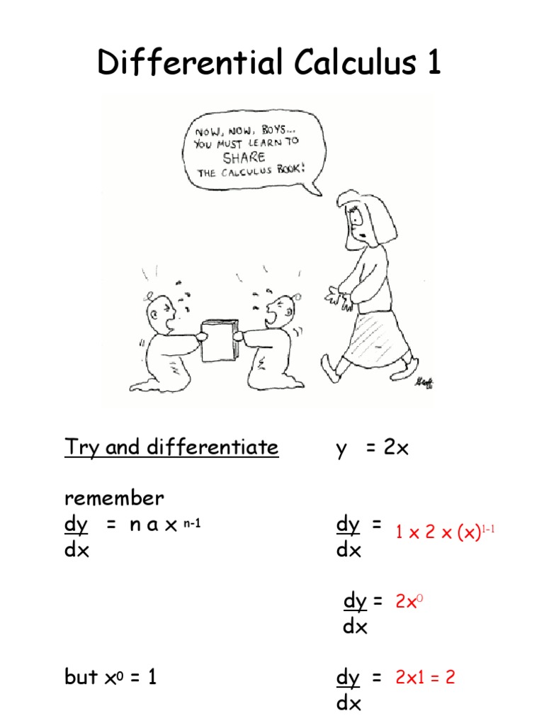 Differential Calculus 1 | PDF