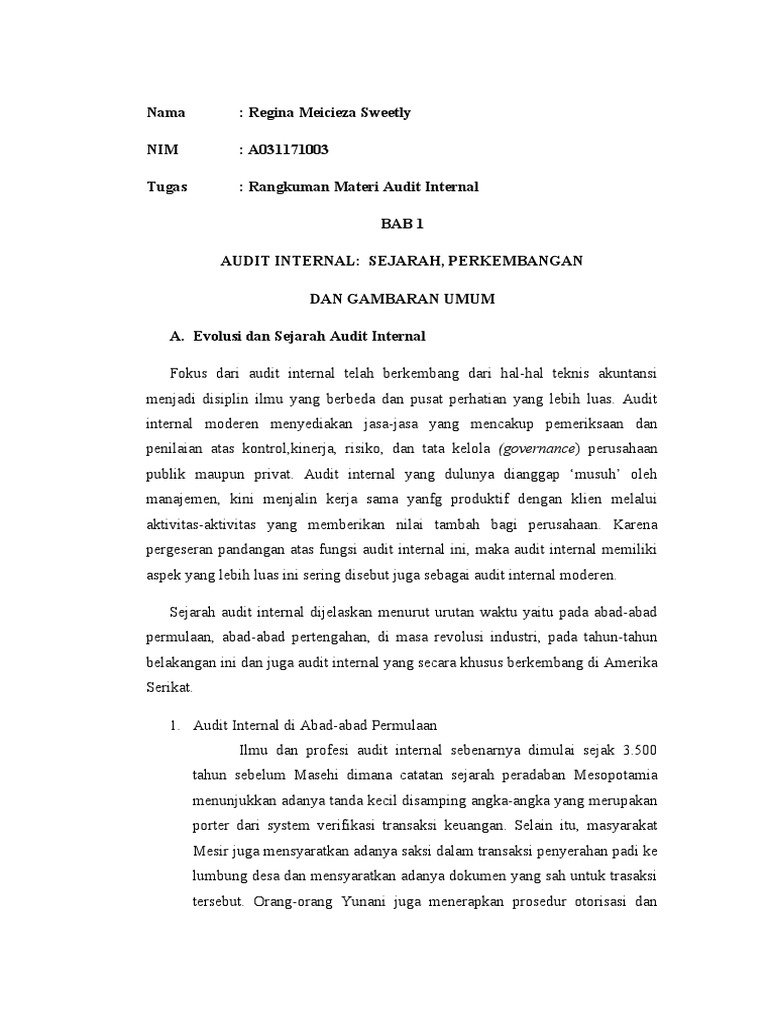 RMK Audit Internal - Bab 1 | PDF