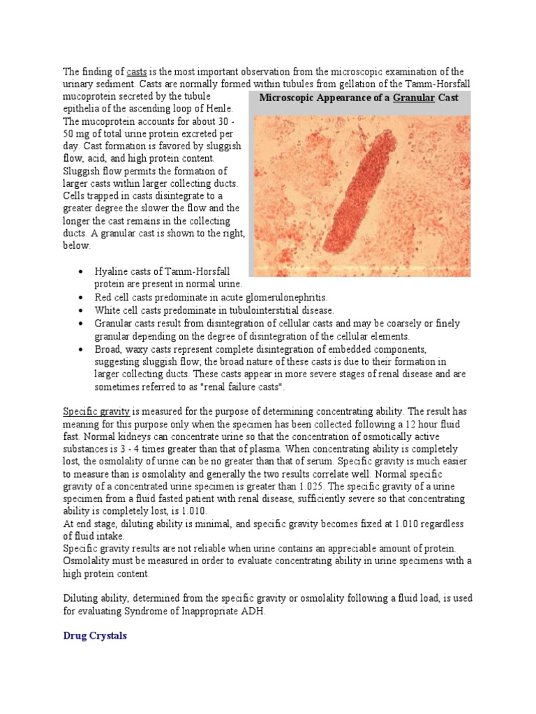 Granular Cast | PDF | Medical Specialties | Clinical Medicine