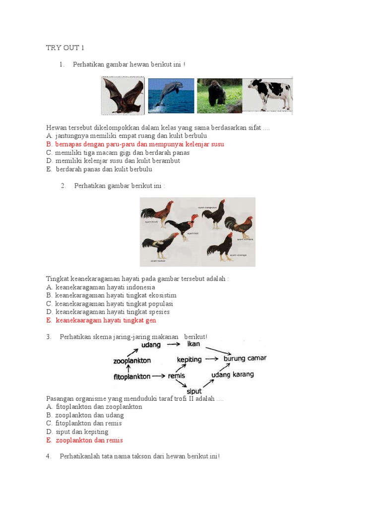 Soal Tryout 1 - 2019 | PDF | Sains & Matematika