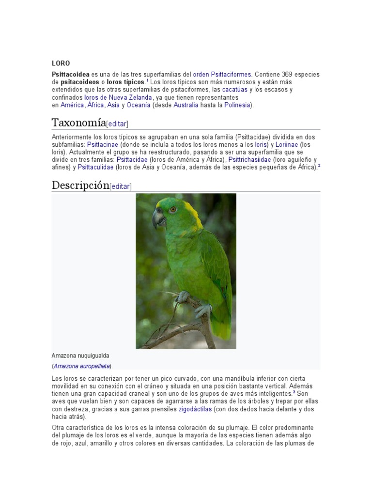 LORO Wiki | PDF | Loro | Aves