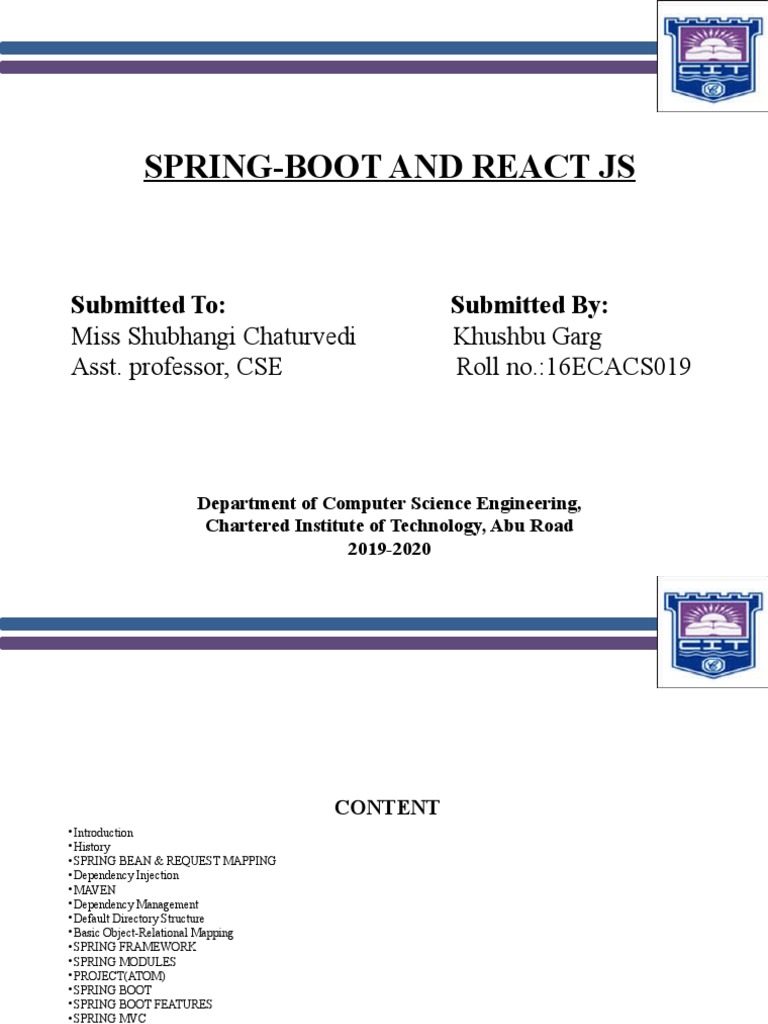 Internship | PDF | Spring Framework | Model–View–Controller