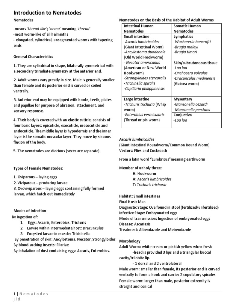 Nematode Basics for Parasitology Students | PDF | Nematode | Parasitology