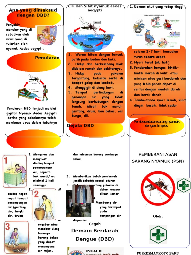 Leaflet DBD | PDF