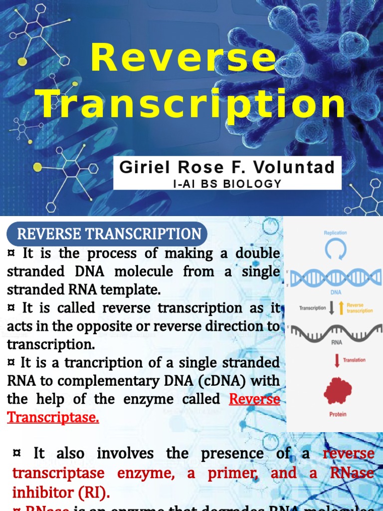Reverse Transcription | PDF | Reverse Transcriptase | Retrovirus