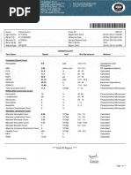 OB Ultrasound Report Template 2 | PDF | Anatomy | Human Anatomy