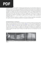 Evaluación Postural con Plomada | PDF