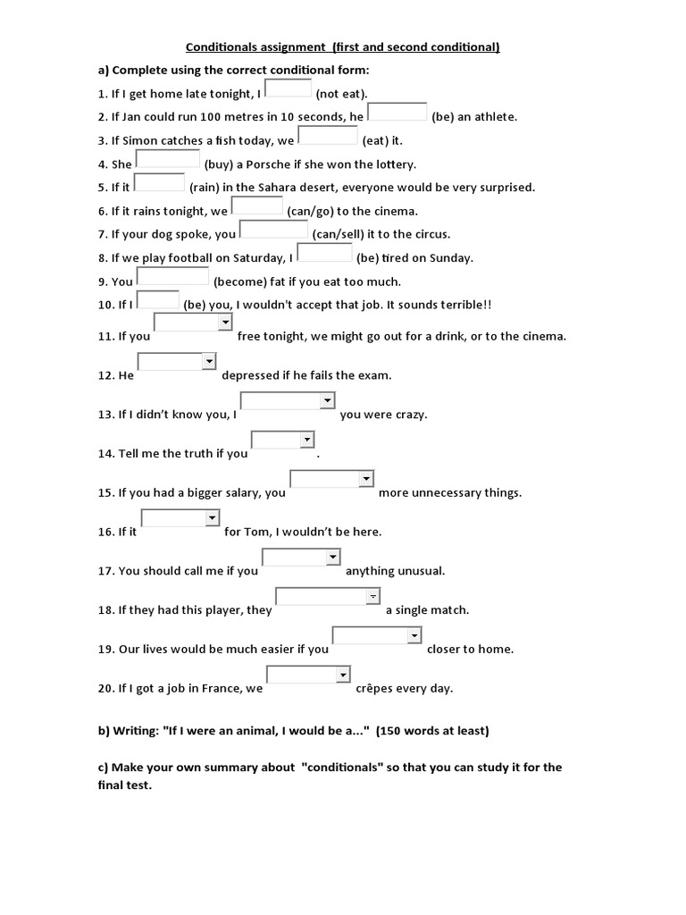Conditionals Assignment Guide | PDF