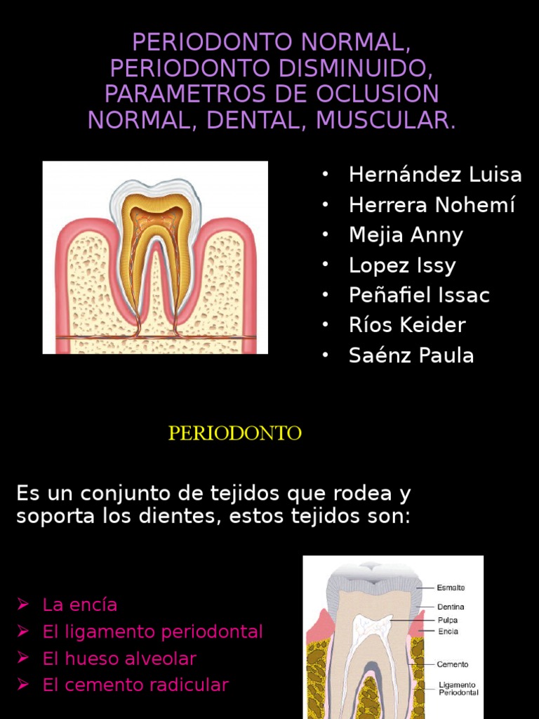 Periodonto normal y alteraciones periodontales | PDF | Odontología | Boca