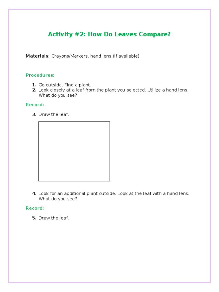 Comparing Leaves: An Outdoor Activity | PDF