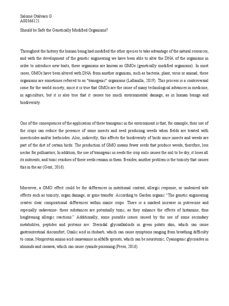 Argumentative Essay | PDF | Genetically Modified Organism | Genetic ...