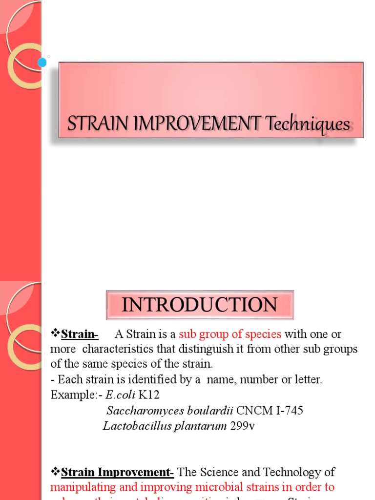 Strain Improvement Methods | PDF | Molecular Cloning | Plasmid