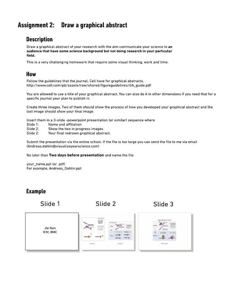 Assignment 2.2 Graphical Abstract Instructions | PDF