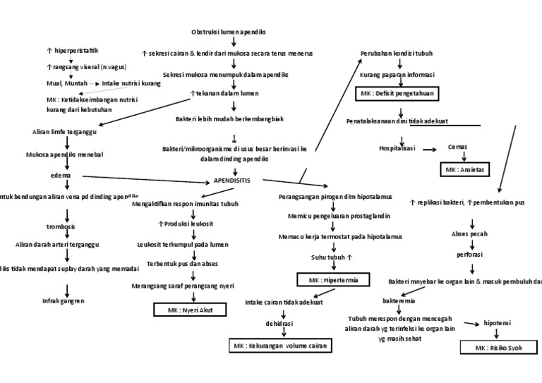 Apendisitis dan Komplikasinya | PDF