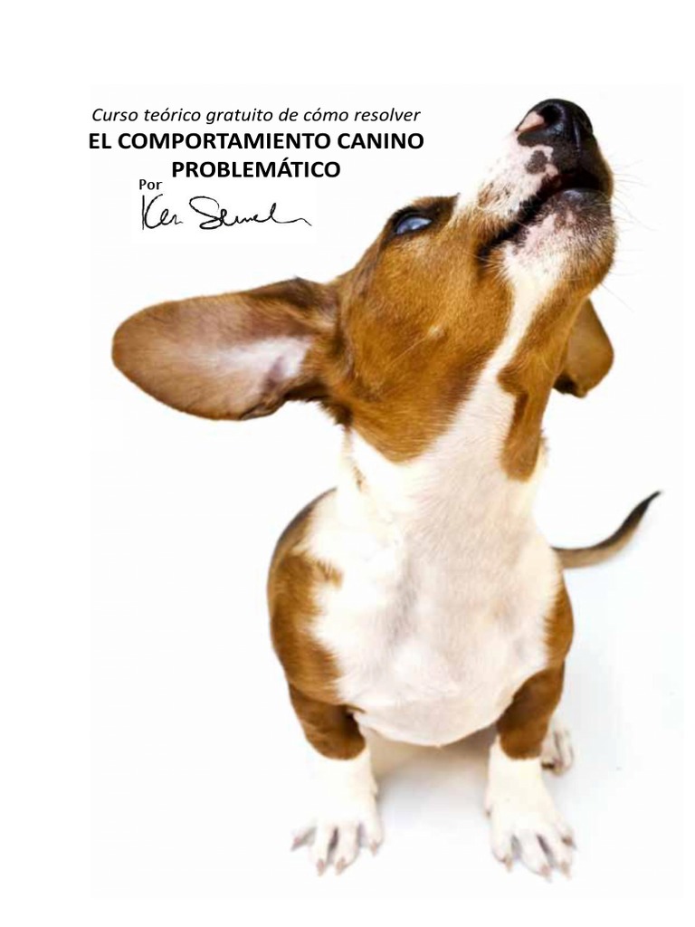 Libro Elcomportamiento Canino Problematico Por Ken Sewell | PDF ...