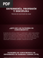 Patrones de Barbara Carper | PDF | Conocimiento | Enfermería