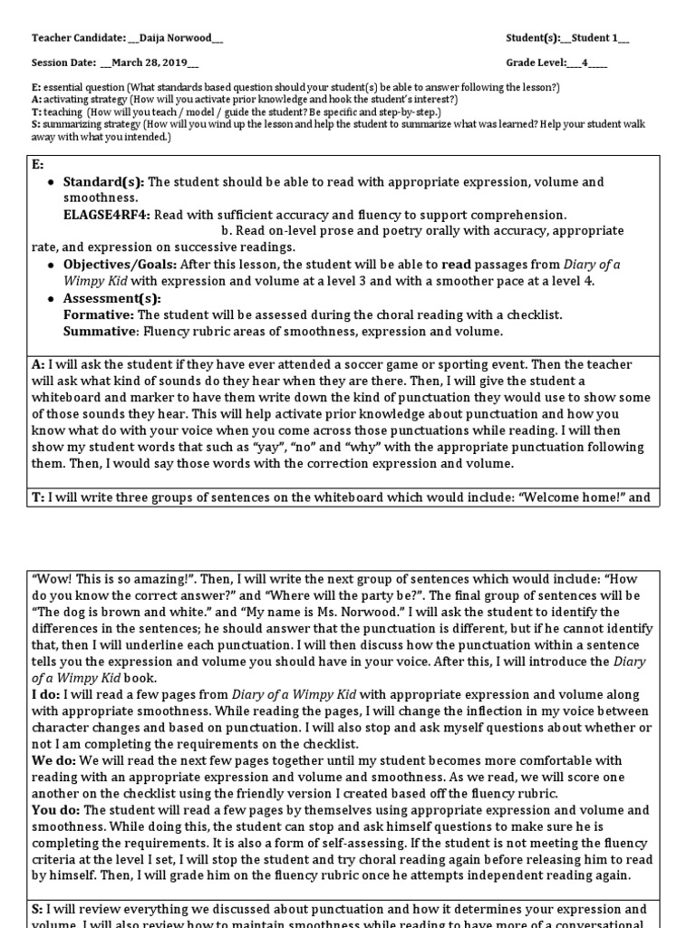 Mini Lesson Plan Template | PDF | Rubric (Academic) | Reading Comprehension