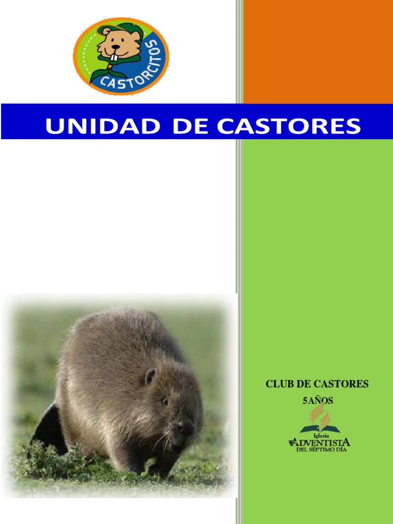 Castores Cuaderno Final | PDF