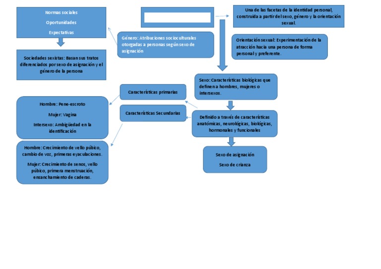Mapa Conceptual 2 Sexo-Genero | PDF