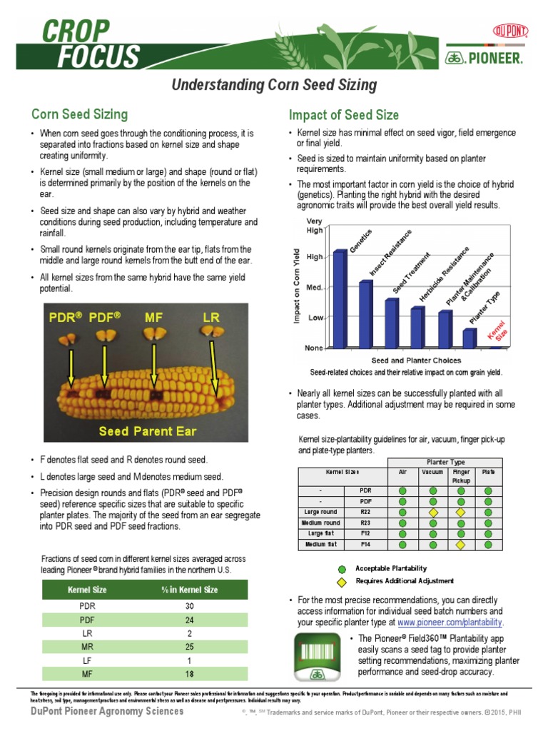 Planting Understanding Corn Seed Sizing | PDF | Maize | Seed