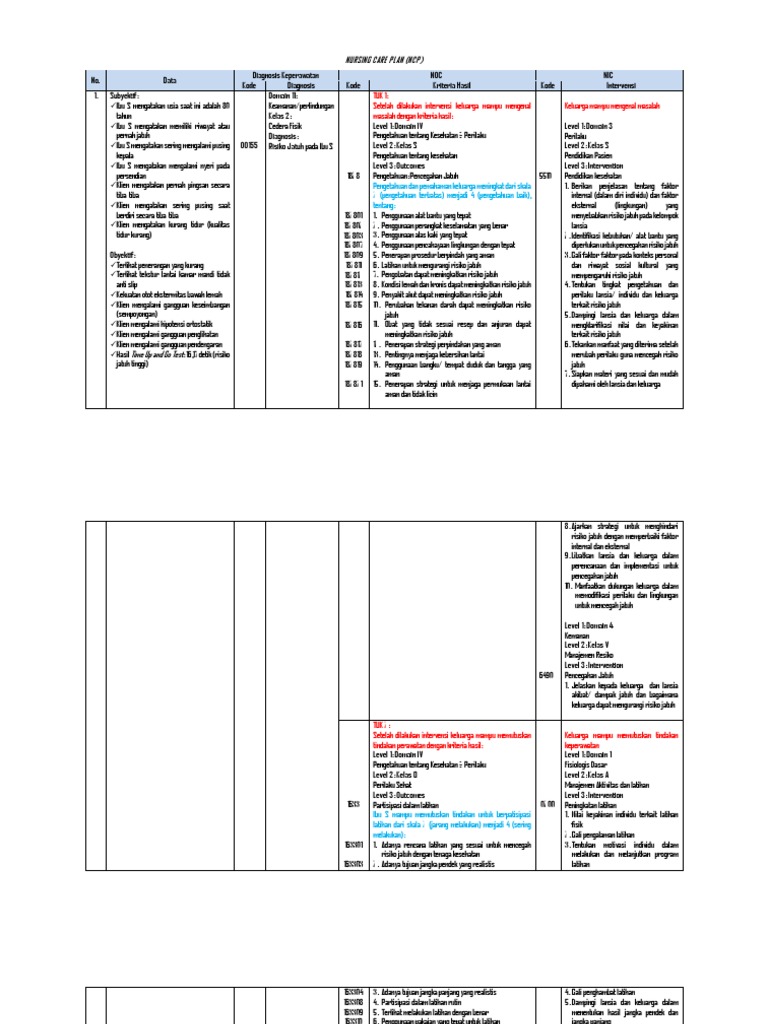 NCP Nanda NIC NOC | PDF
