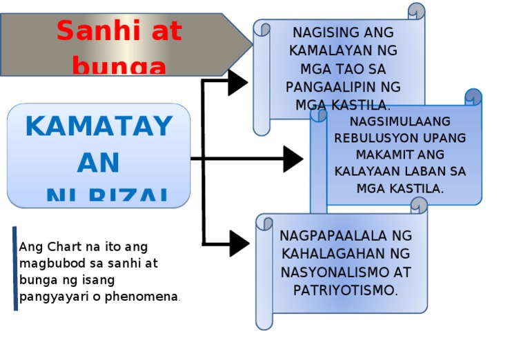 Sanhi at Bunga | PDF