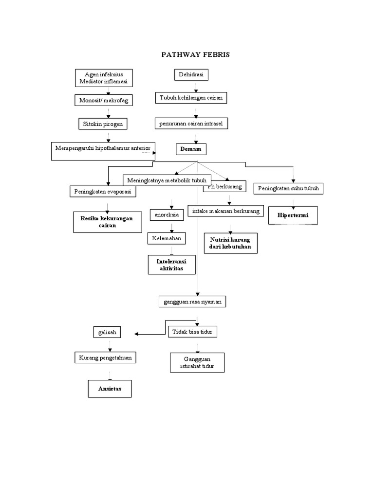 Pathway Febris | PDF